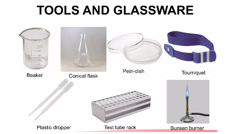 Chem Lab | Flashcards
