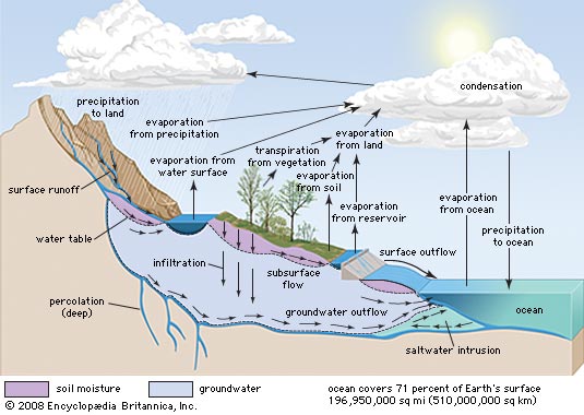 Hydrologic Cycle | Flashcards