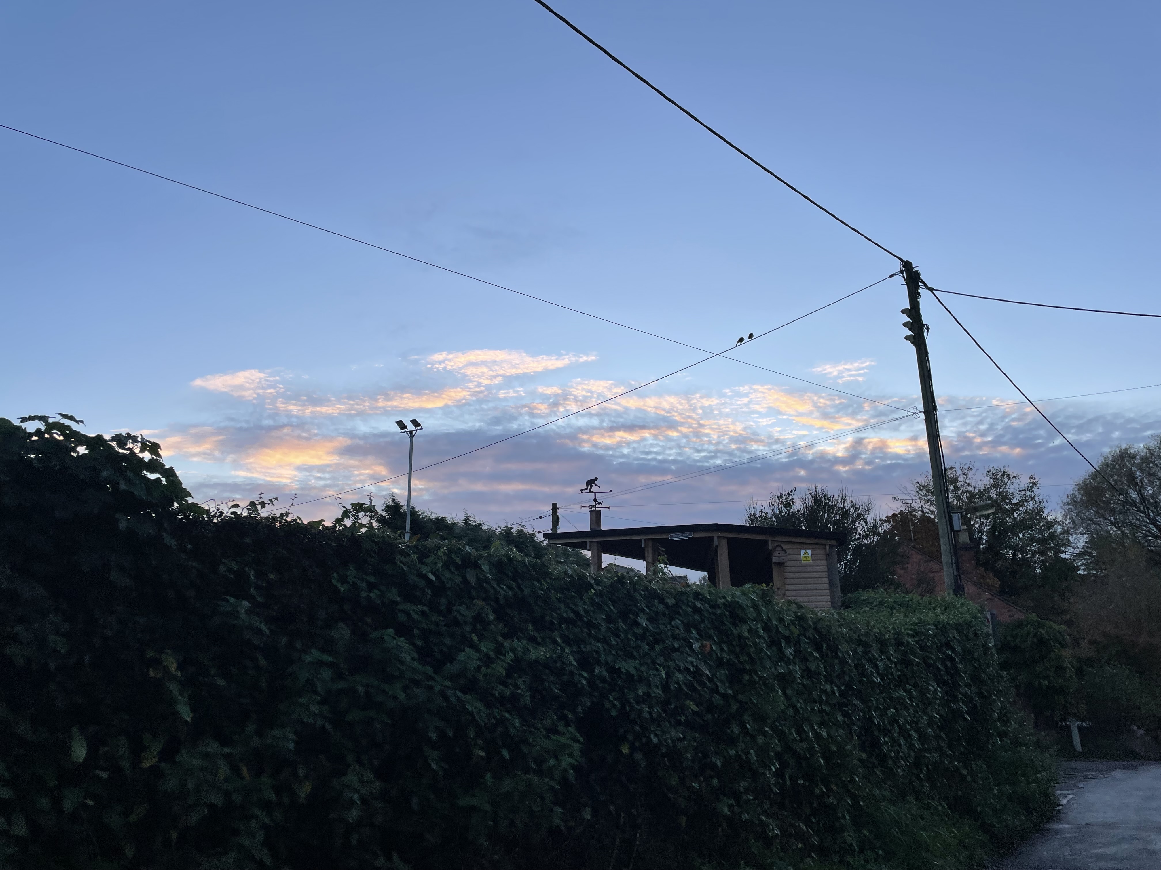 8f Periodic Table | Flashcards