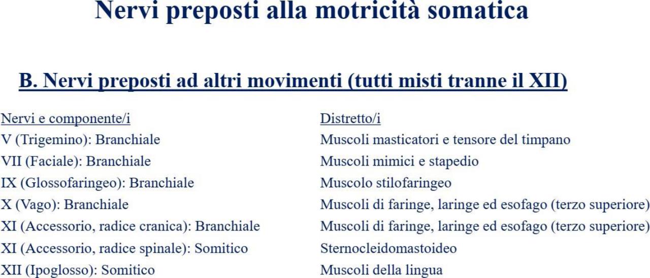 Nervi Cranici | Flashcards