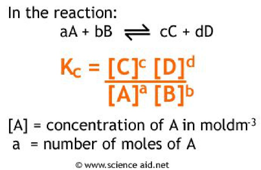 Topic 10 | Flashcards