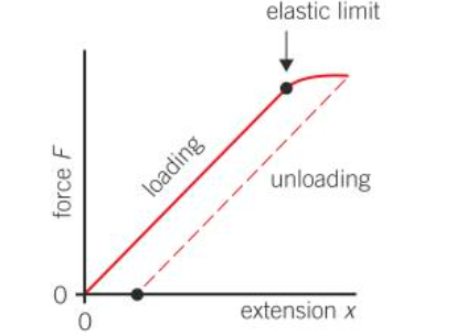 Chapter 6 | Flashcards