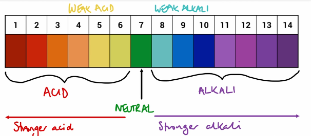 Ph Scale and Neutralisation | Flashcards