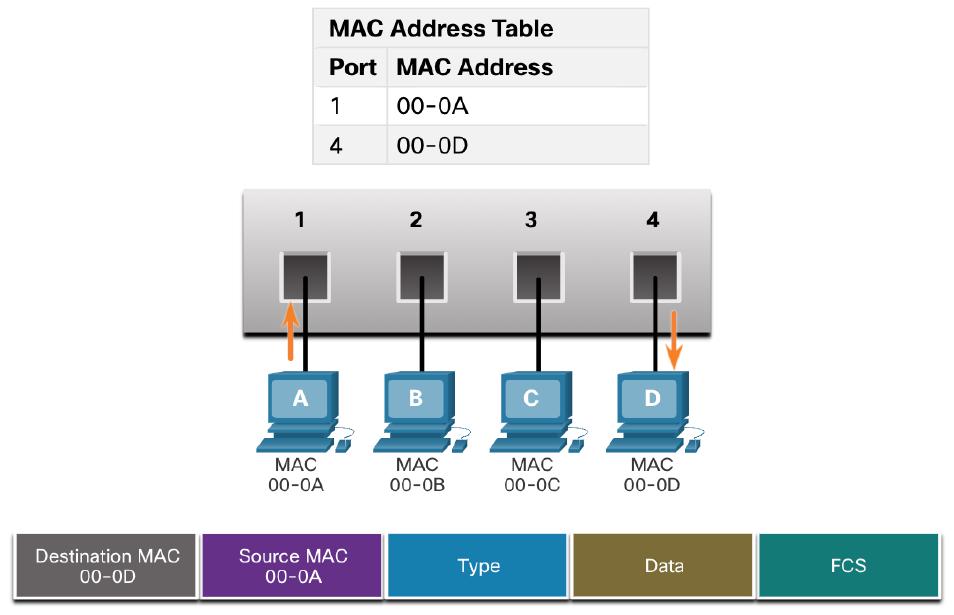 Networking Module 4 - Rami | Flashcards