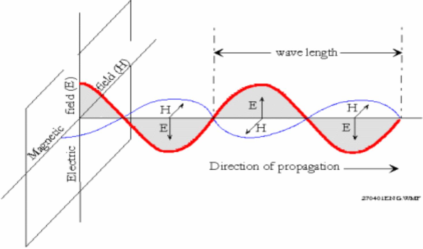 Electromagnetic Spectrum | Flashcards