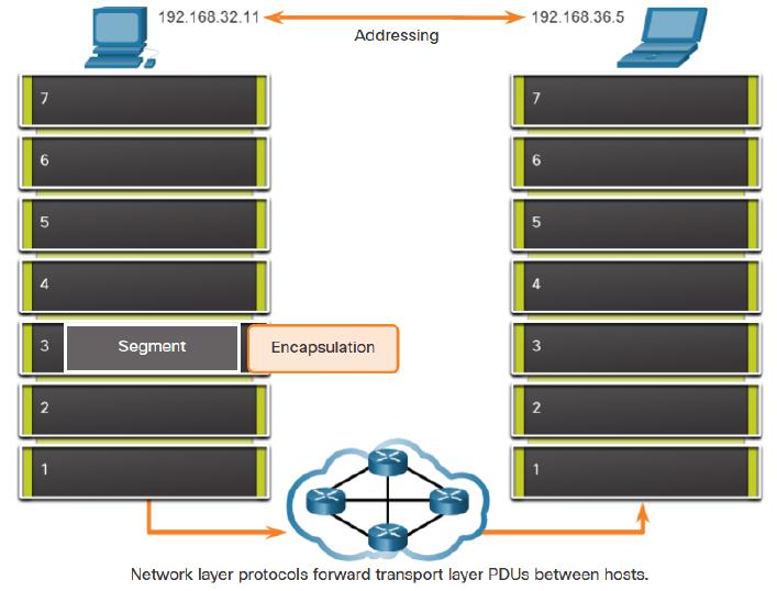 Networking Module 4 - Rami | Flashcards