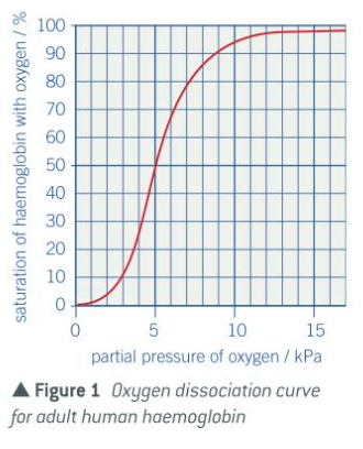 Oxygen Dissociation Curves | Flashcards
