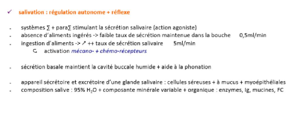 Tuyaux Physio | Flashcards