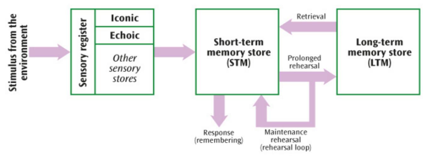 Memory Alevel Aqa | Flashcards