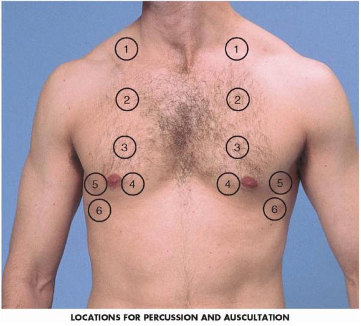 Beginning the Physical Examination | Flashcards