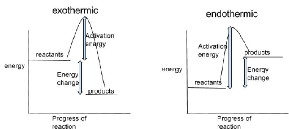 Exothermic and Endothermic Reactions | Flashcards