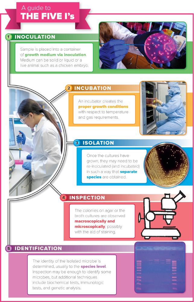 2-tools | Flashcards