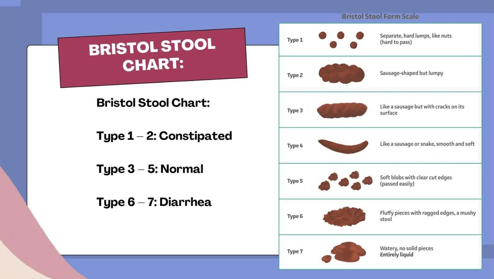 Urinary System | Flashcards